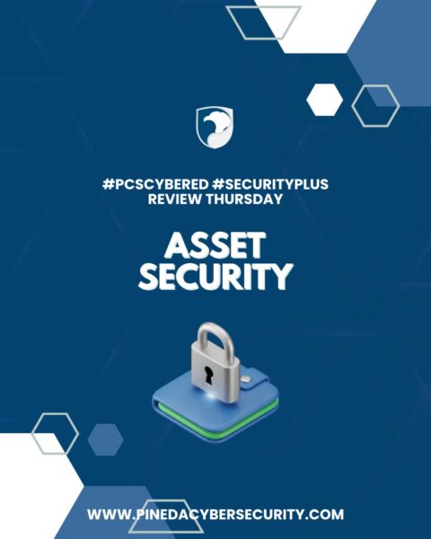 Asset Security | Pineda Cybersecurity